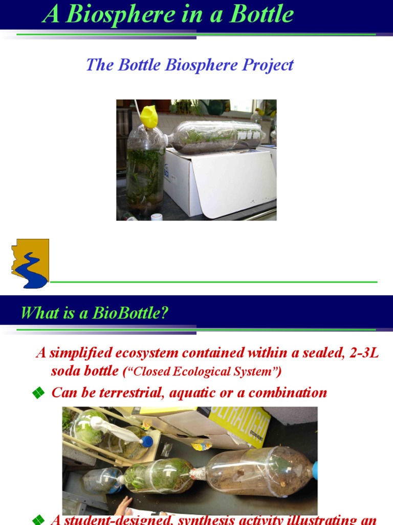 Biobottle Project | PDF | Ecosystem | Environmental Science