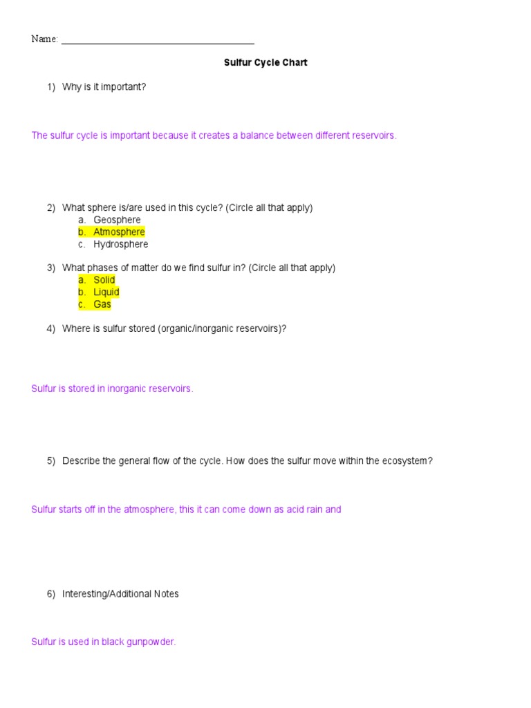 Biogeochemical Cycle Project Charts | PDF | Nitrogen | Carbon Dioxide