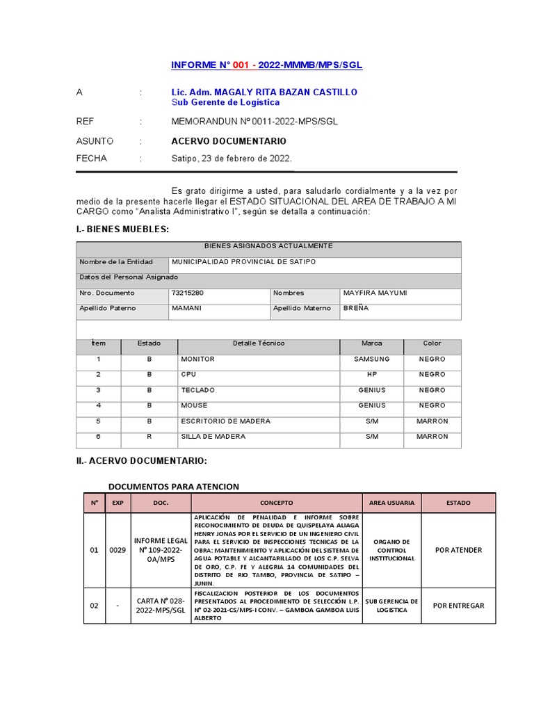 Informe Entrega de Cargo | PDF