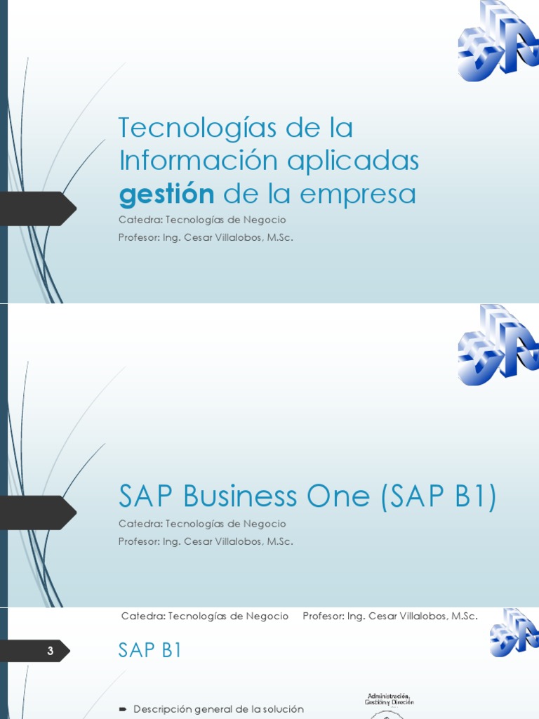 Sap B1 | PDF
