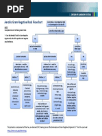 Bacterial ID Flowchart | PDF | Streptococcus | Staphylococcus