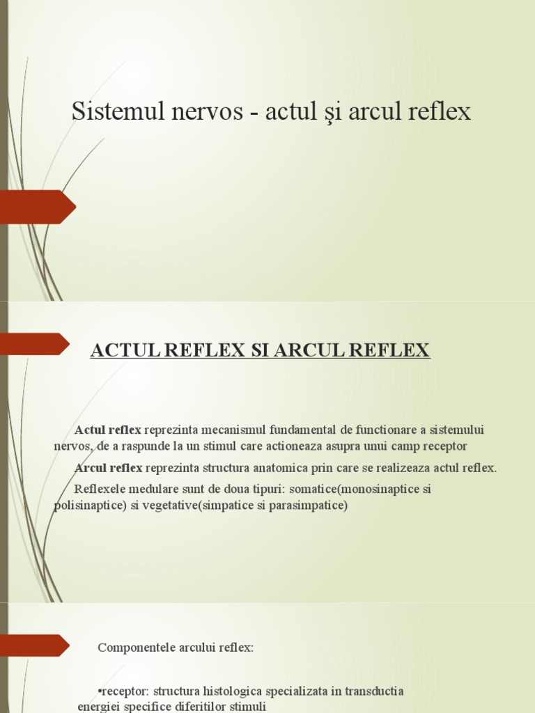 Sistemul Nervos - Actul Şi Arcul Reflex 2 | PDF