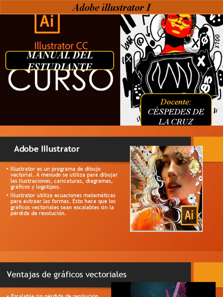 Manual Illustrator I | PDF