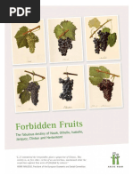 2020 Brix Values of Single Strength Juices | PDF | Fruit | Plants