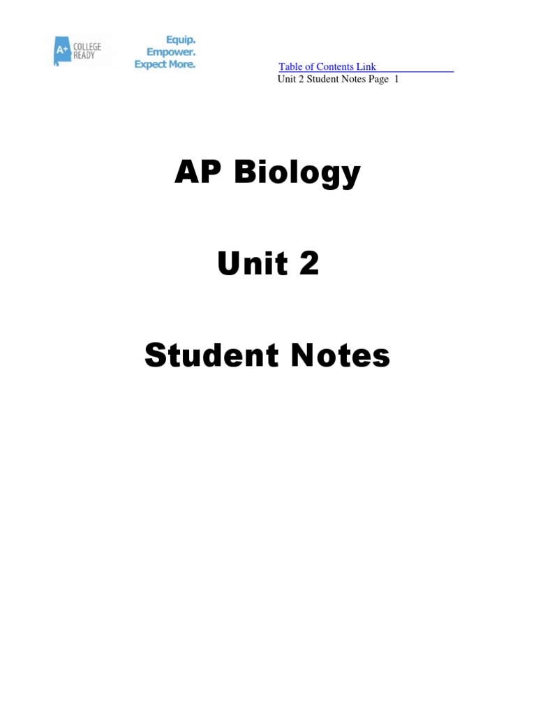 Prokaryotic Cell Structure Overview | PDF | Endoplasmic Reticulum ...