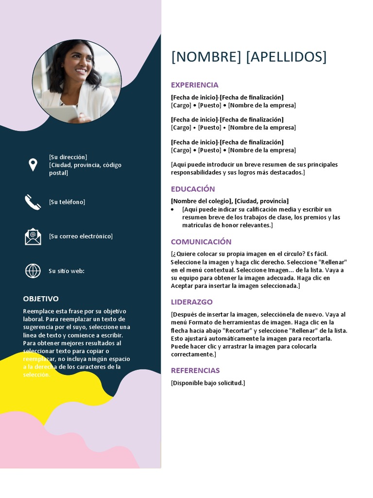 Curriculum Vite | Descargar gratis PDF | Informática | Comunicación