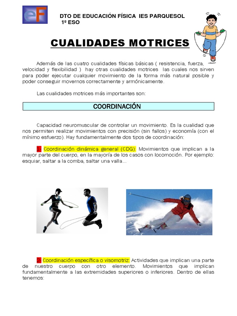 Cualidades Motrices | PDF | Flexibilidad (anatomía) | Fuerza