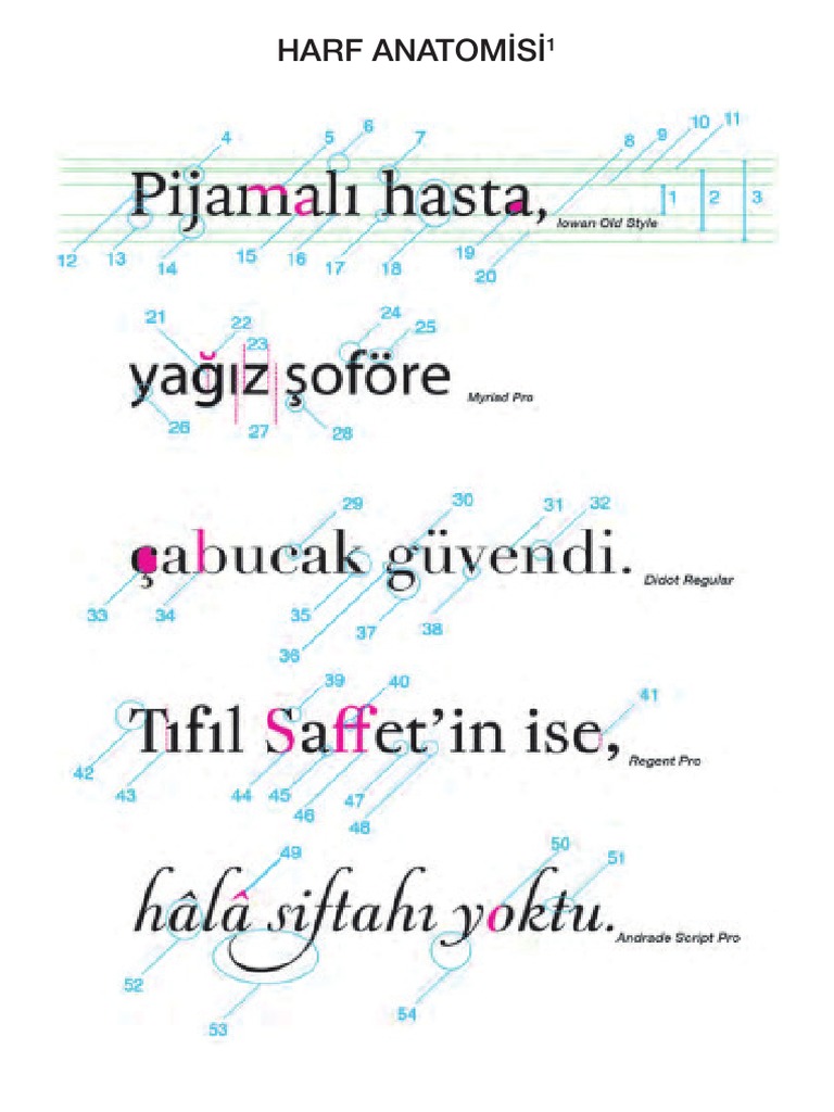 Harf Anatomisi özet | PDF