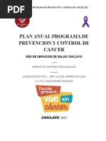 Plan Anual Refcon | PDF