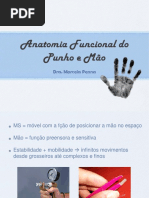 Aula 6 Ossos, Músculos, Inervação e Vascularização Do Punho e Mão | PDF ...