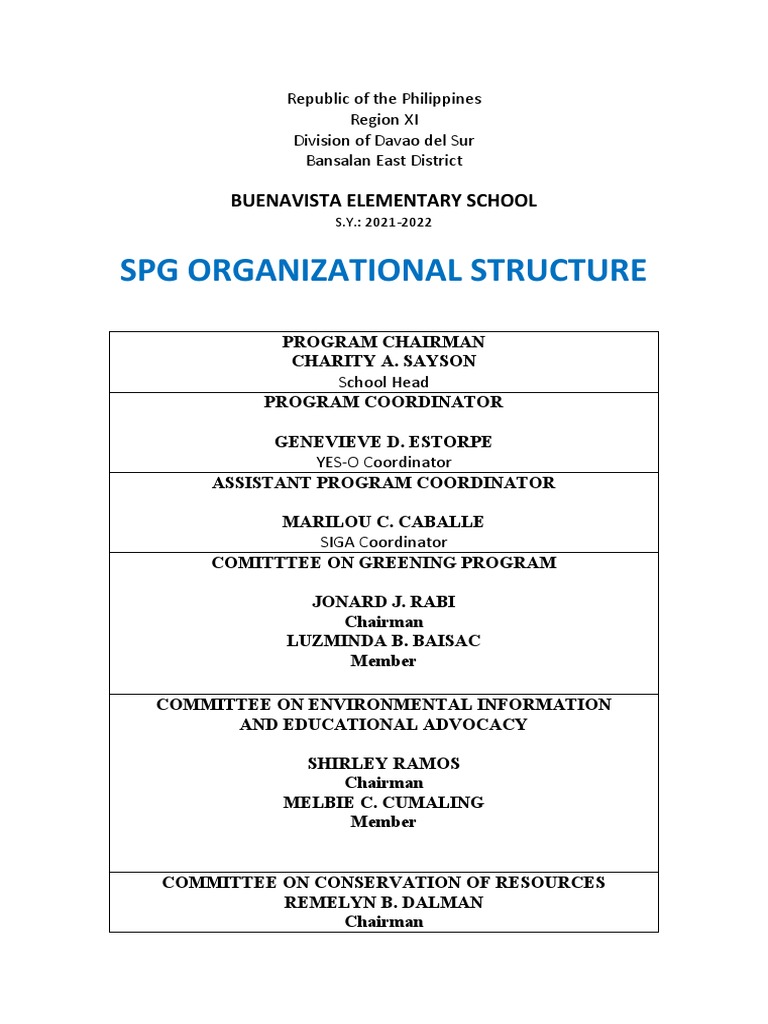 Organizational Structure For SPG | PDF
