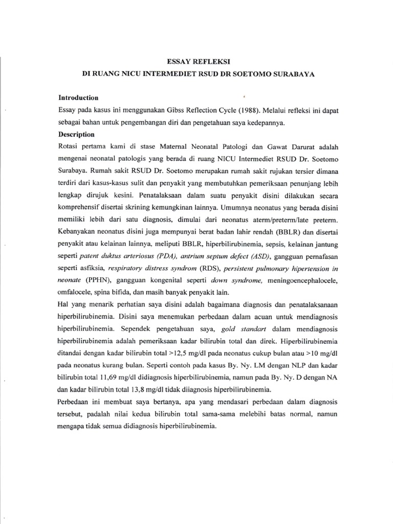 Essay Refleksi Contoh | PDF