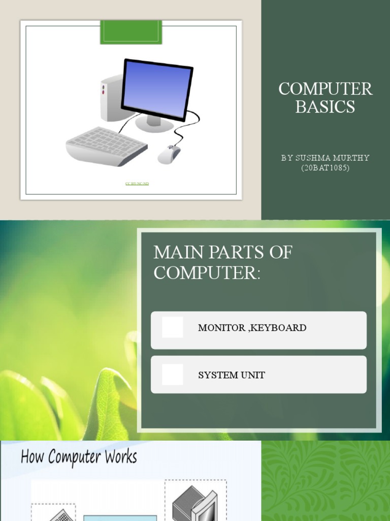 Computer Basics | PDF