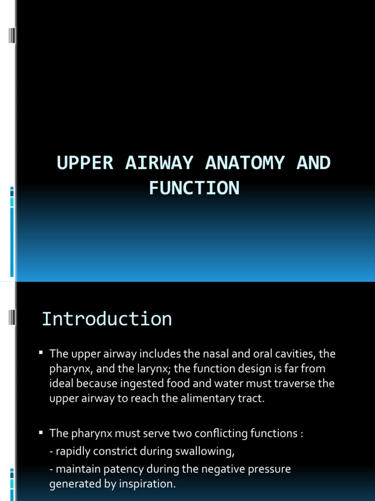 Upperairway Anatomy and Function | Download Free PDF | Larynx | Human Voice