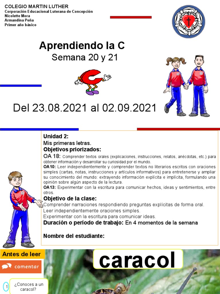 1°lenguaje Semana 20 - 21 | PDF | Lingüística | Cognición