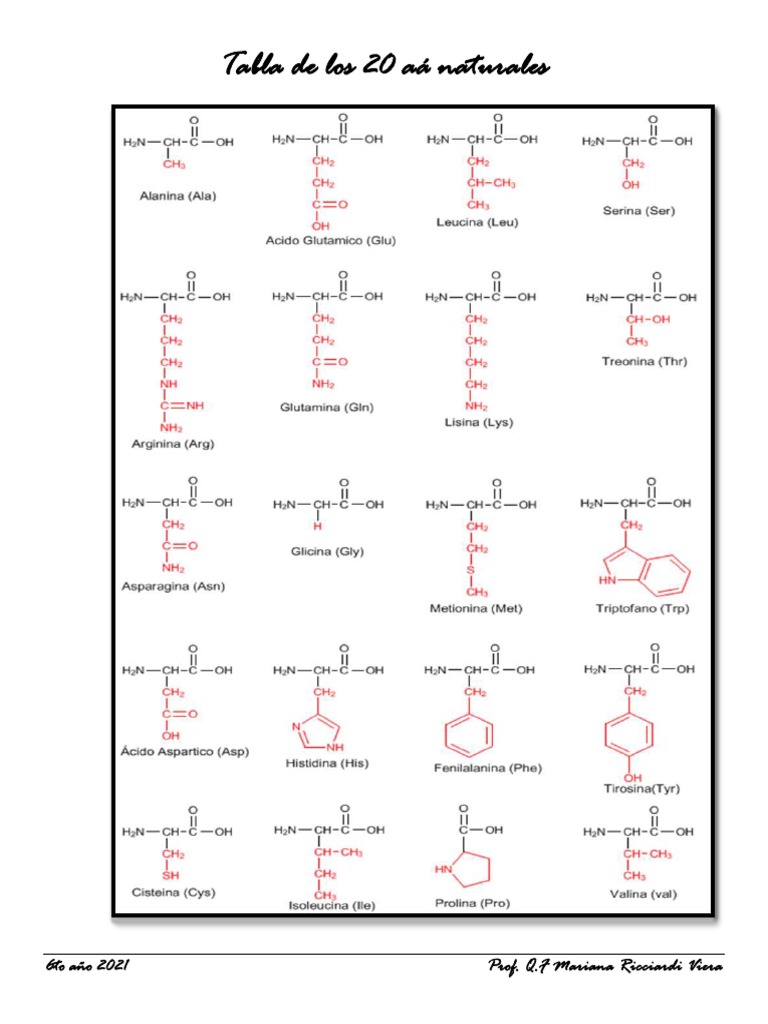 Tabla de Los 20 Aá Naturales | PDF