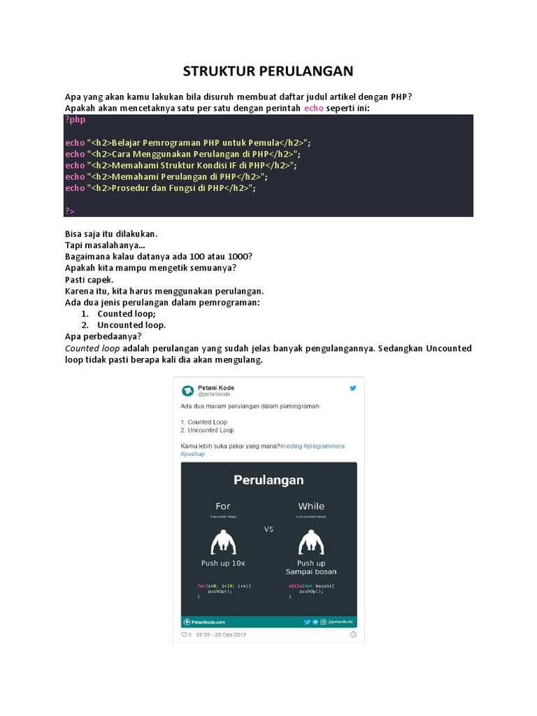 Struktur Perulangan | PDF