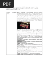 FARINGE y LARINGE - Anatomía II, Veterinaria | PDF | Laringe ...