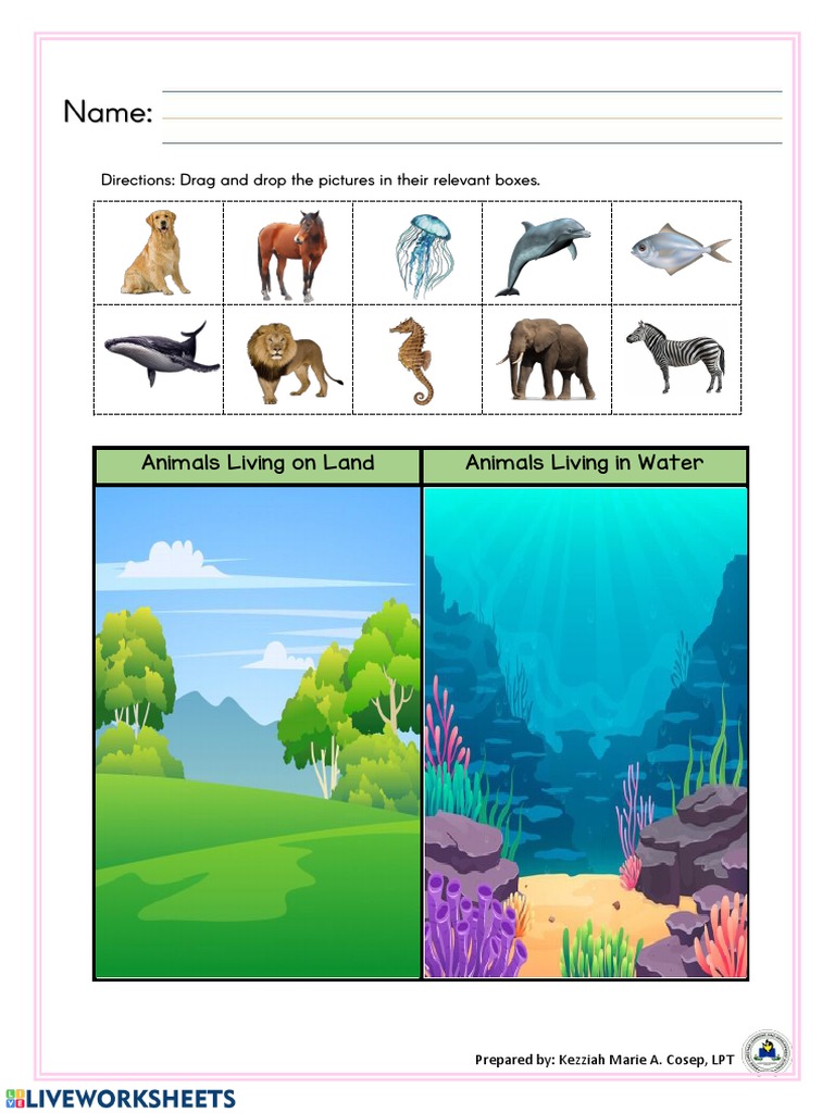 Land vs Water Animals Sorting Activity | PDF | Social Science | Science ...