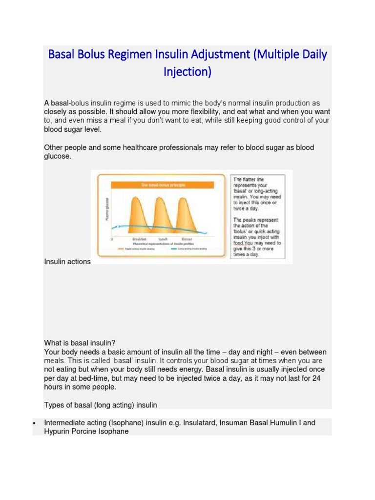 Basal Bolus Regimen Insulin Adjustment | PDF