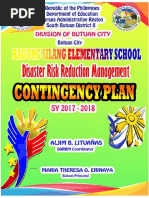 SDRRM Plan (Sample) - 1 | PDF | Emergency Management | Disaster Risk ...