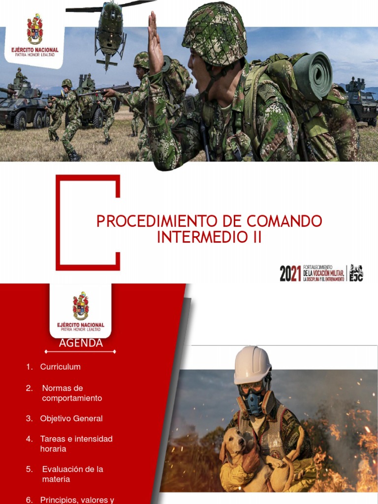 Procedimiento de Comando | PDF | Reconocimiento | Planificación