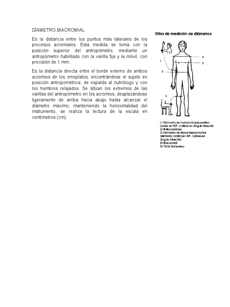 Díametro Biacromial | PDF