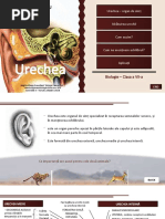 Rezumat Inocentii | PDF