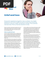 Road Signs Lesson Plan | PDF | Cognition | Learning