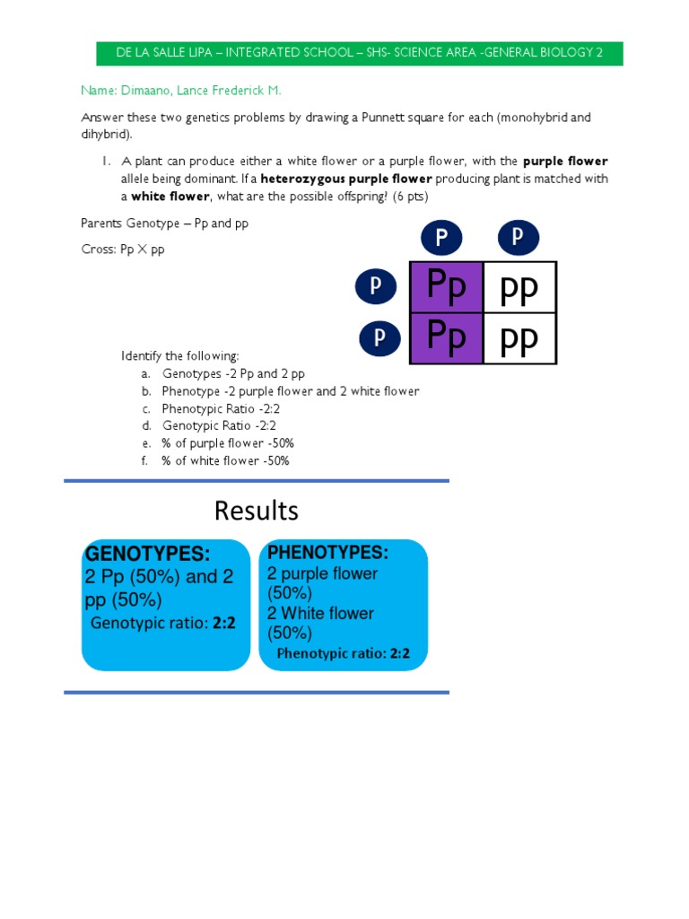 Punnett Square Monohybrid And Dihybrid Cross Pdf Genotype