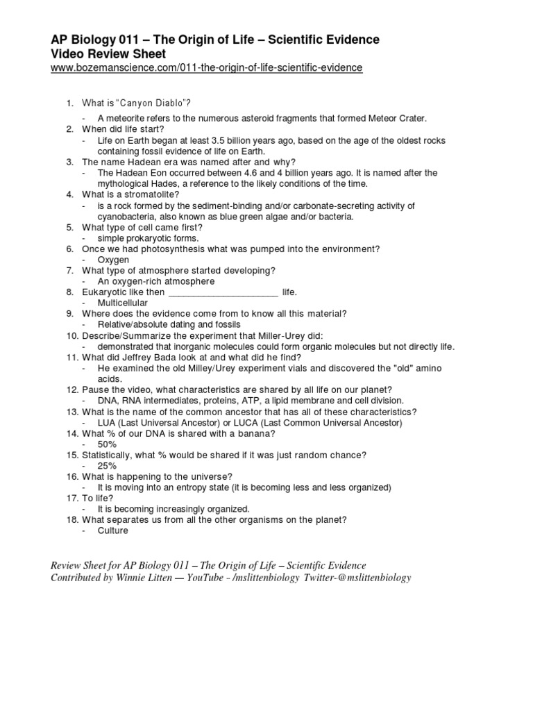 Origin of Life Evidence Review Sheet | PDF | Life | Abiogenesis