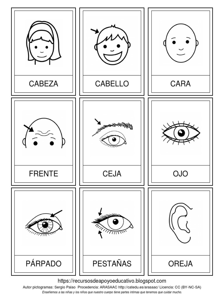 RDAE Partes Del Cuerpo Humano Incluídas Las Partes Íntimas - Tarjetas ...