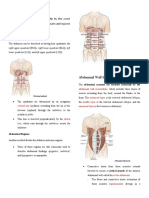 Overview of Splanchnology and Viscera | PDF | Abdomen | Human Digestive ...