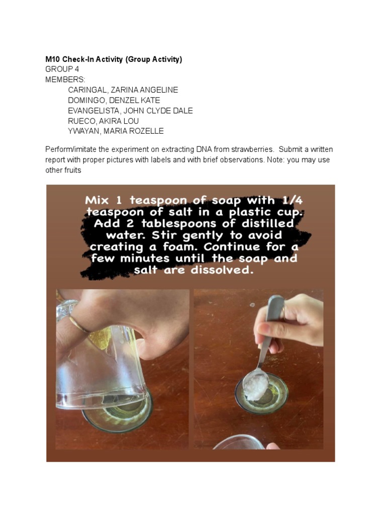 Extracting DNA from Fruit: A Group Project on Isolating Genetic ...