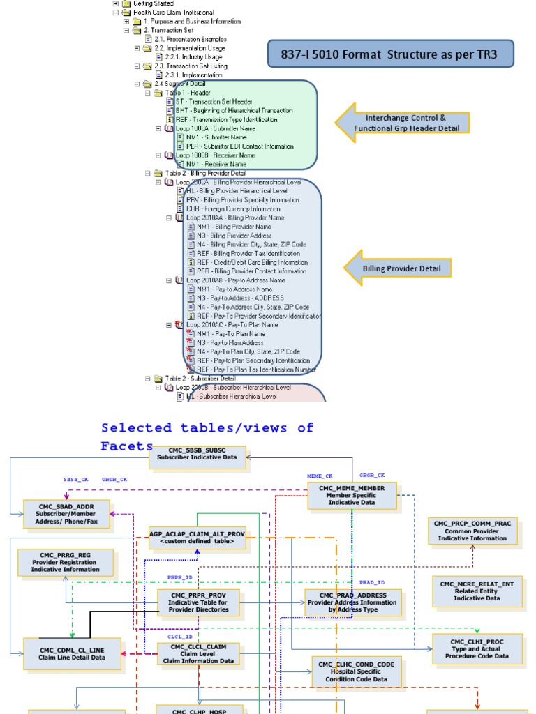 Healthcare Domain - Facets Claim Process Flow Chart | PDF | Information ...