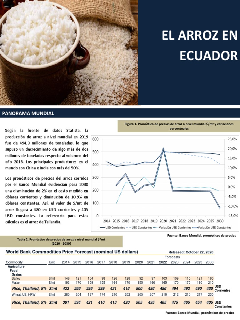 Producción y precios del arroz en Ecuador | PDF | Ecuador | Arroz