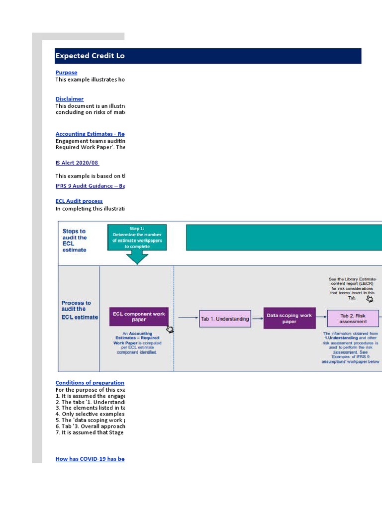 Illustrative Example Accounting Estimates-Required WP (ECL) | PDF ...