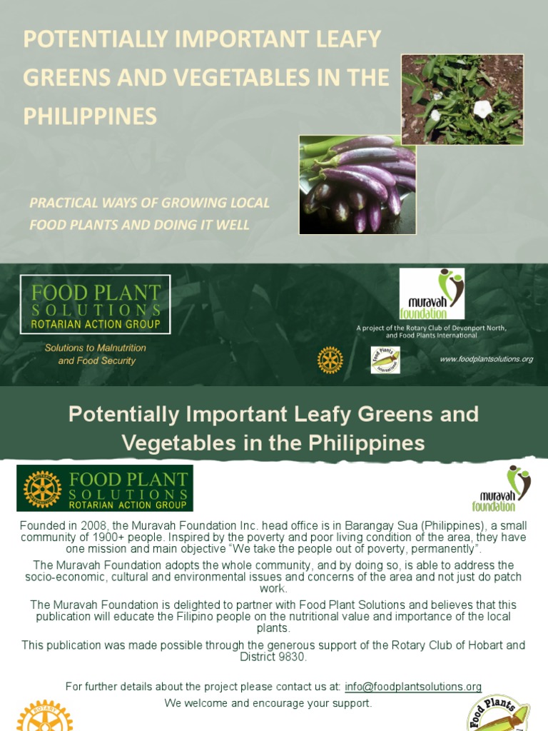 Key Leafy Greens in the Philippines | PDF | Leaf Vegetable | Vegetables