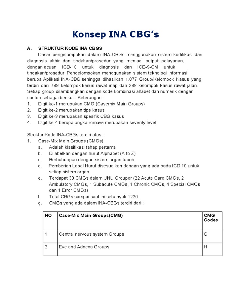 Konsep Ina CBG | PDF