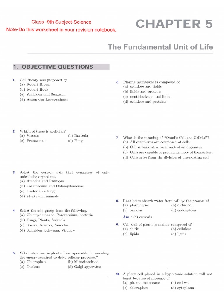 Class 9th Science Worksheet. | PDF