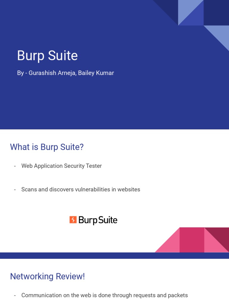Burp Suite | PDF | Penetration Test | World Wide Web