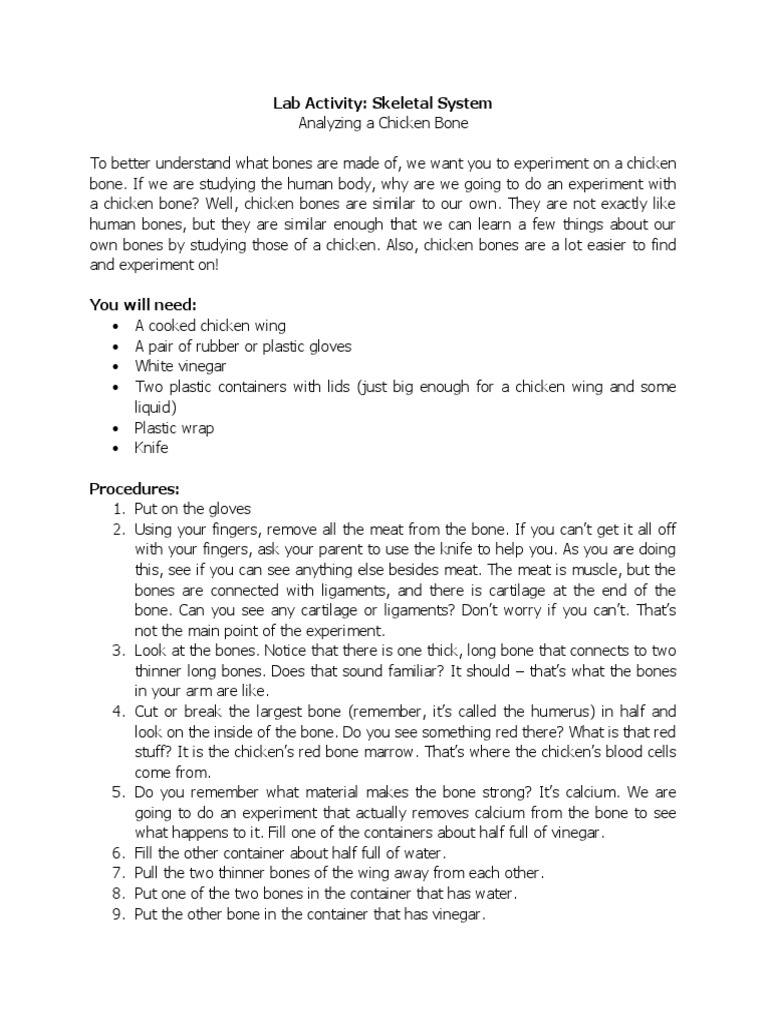 Lab Activity: Skeletal System | PDF | Bone | Anatomy