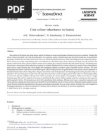 Wolvden Base Coat Genetics Guide | PDF | Nature