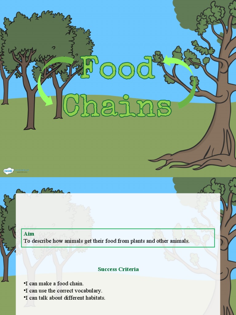 Food Chains Powerpoint | PDF
