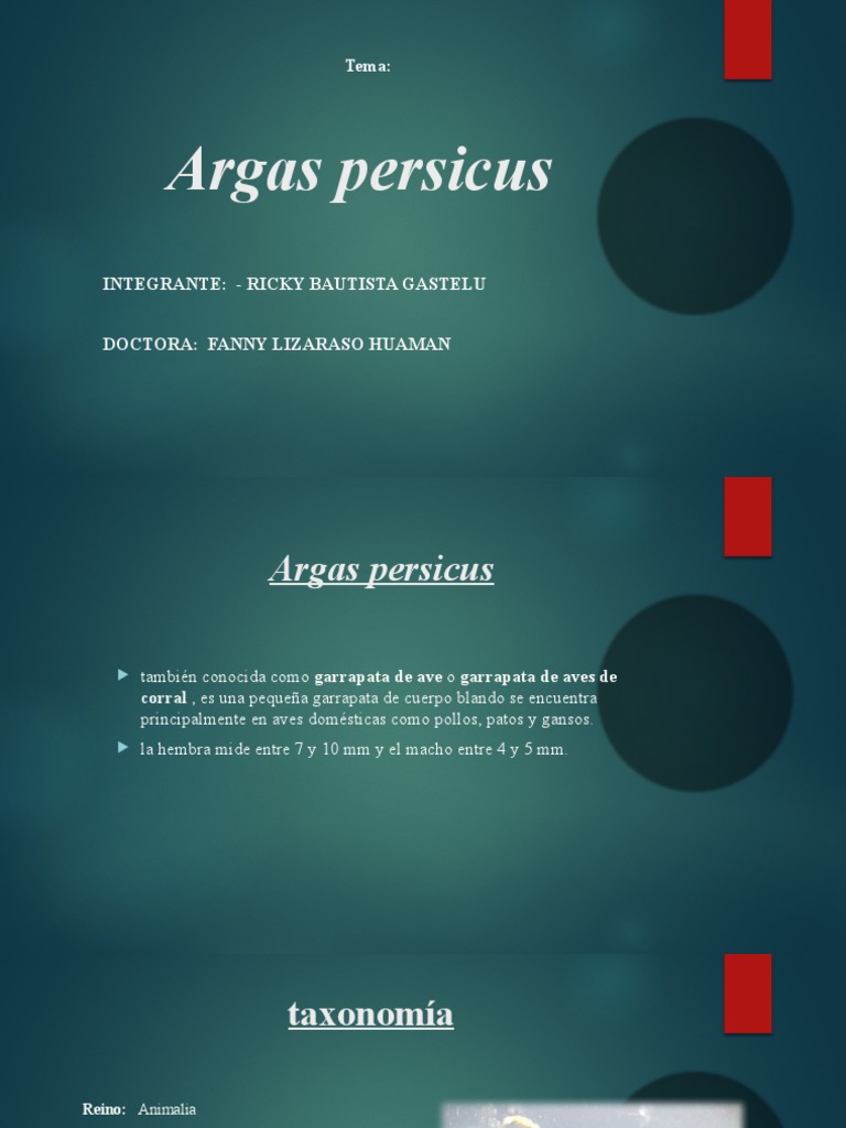 Argas Persicus | PDF