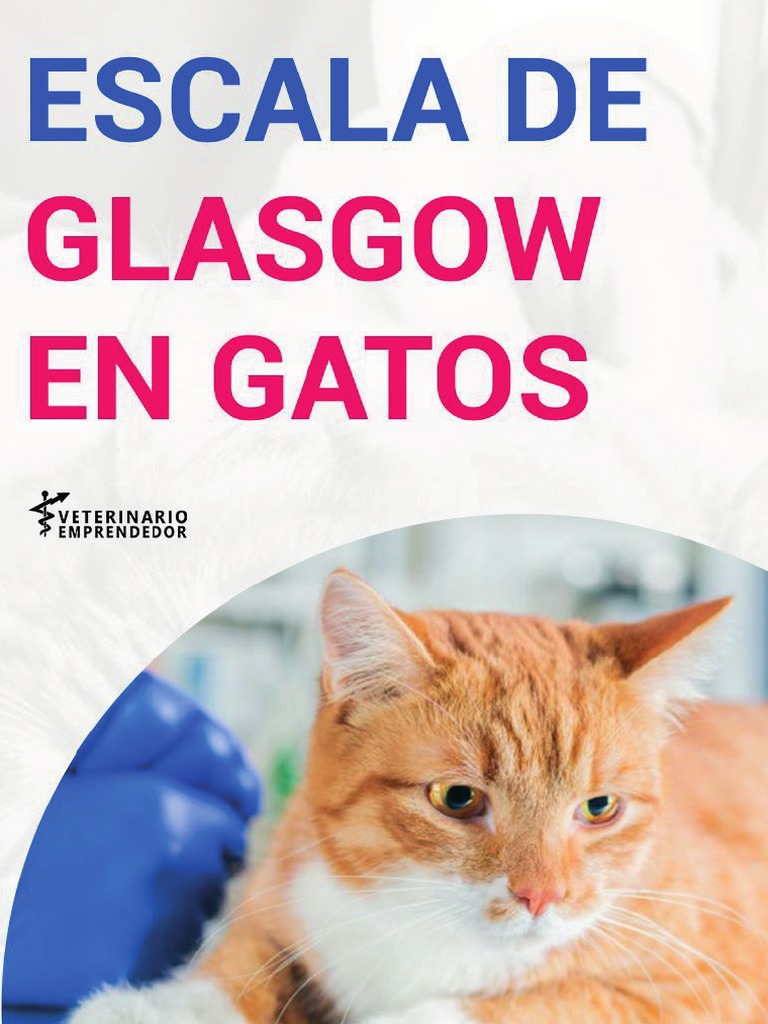 Escala de Glasgow Felinos | PDF