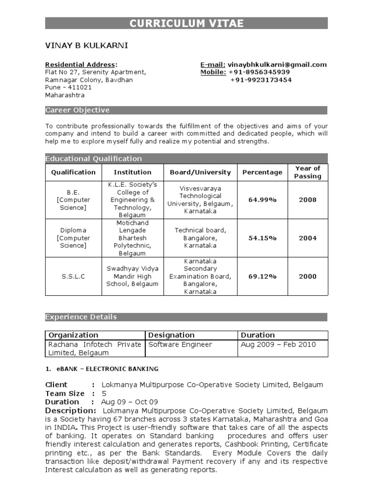 Curriculum Vitae: Vinay B Kulkarni | PDF