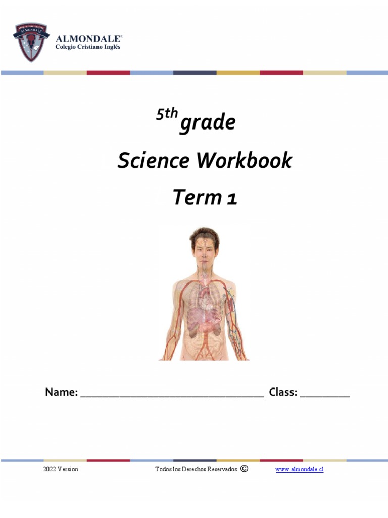 5th Grade Science Workbook Term 1 | PDF | Skeleton | Tissue (Biology)