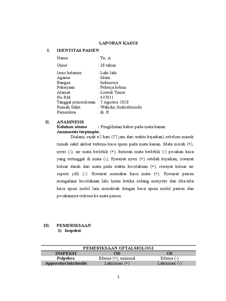 Contoh Laporan Kasus | PDF