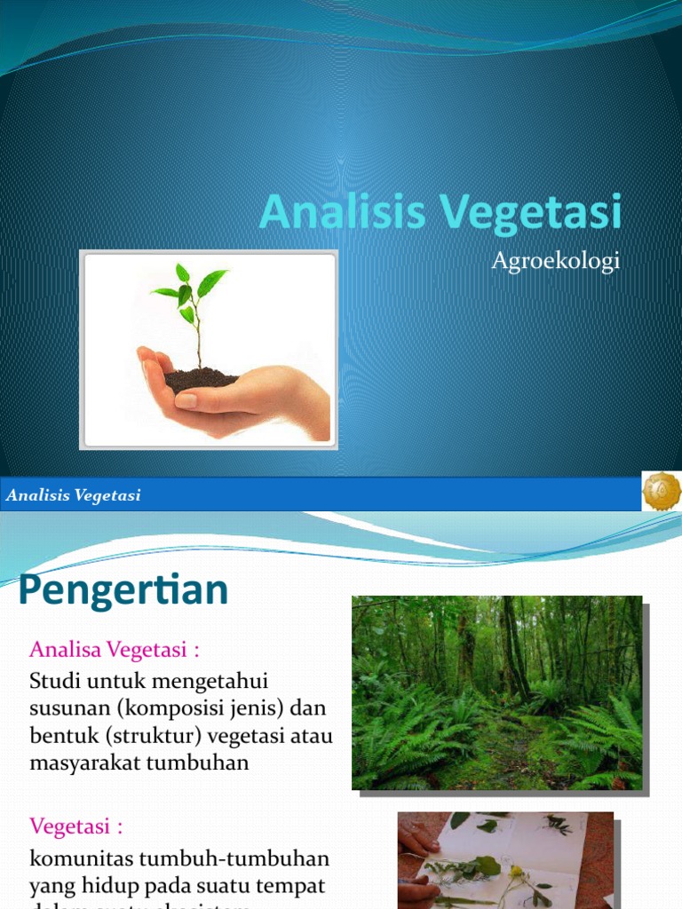 Struktur dan Komposisi Vegetasi | PDF